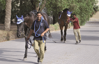 Too Hot to Trot : Gulf Weekly Online