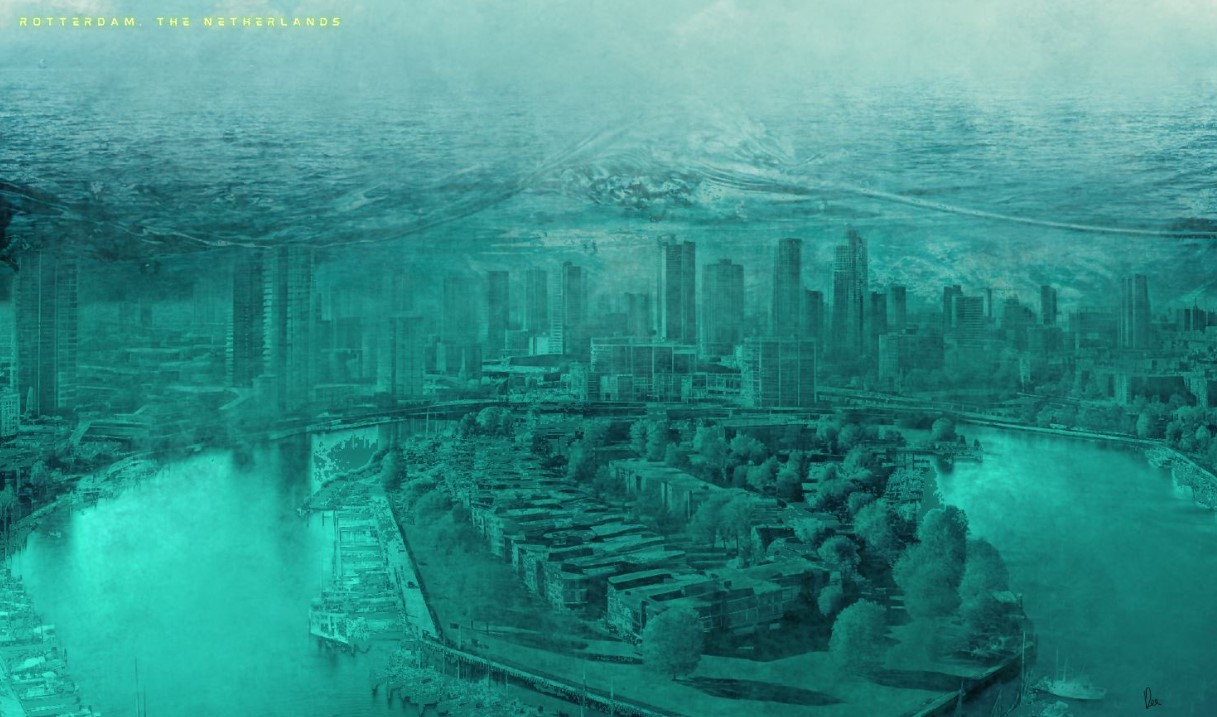 Drawing attention : Gulf Weekly Online