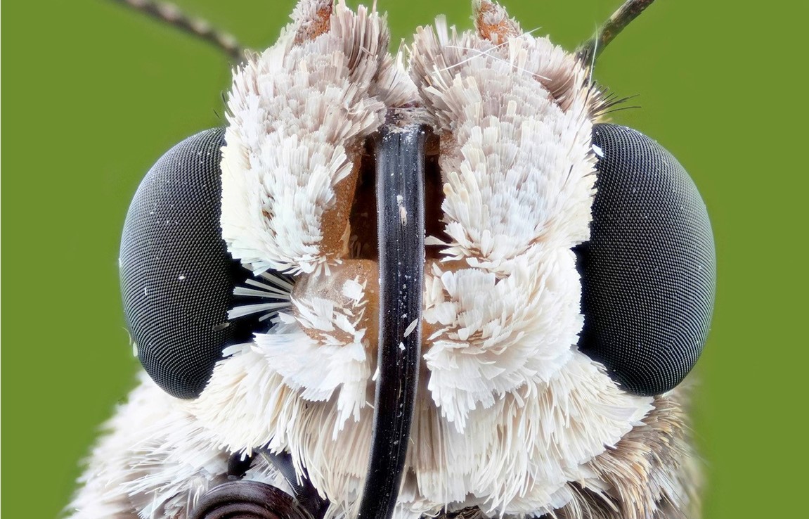 Shutterbug! : Gulf Weekly Online